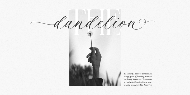 Beloved Sandra Font | Webfont & Desktop | MyFonts