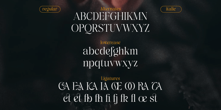 Rashela Font | Webfont & Desktop | MyFonts