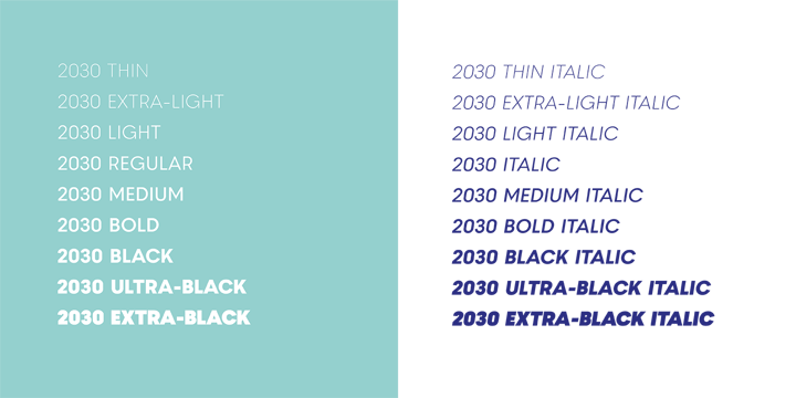 2030 Font | Webfont & Desktop | MyFonts