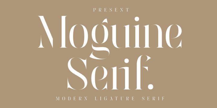 Moguine Serif Font | Webfont & Desktop | MyFonts