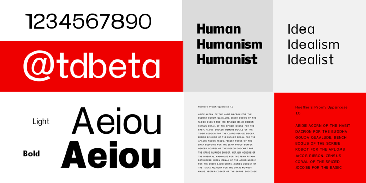 TD Beta Font | Webfont & Desktop | MyFonts