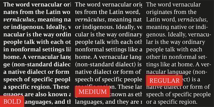 Vernacular Serif Font | Webfont & Desktop | MyFonts