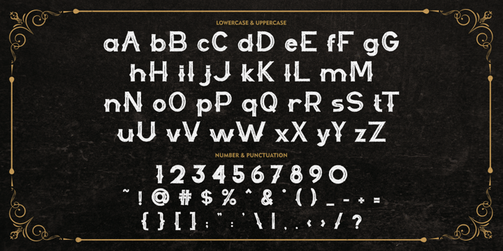 Vintage Museum Font | Webfont & Desktop | MyFonts