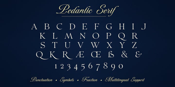 Pedantic Font | Webfont & Desktop | MyFonts