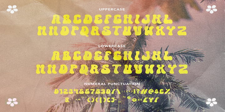 Tropical Wind Font | Webfont & Desktop | MyFonts