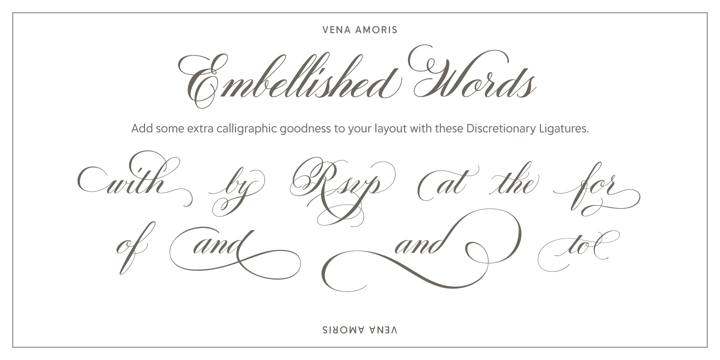 Vena Amoris Font | Webfont & Desktop | MyFonts
