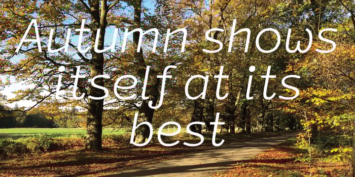 Typist Code Prop Font | Webfont & Desktop | MyFonts