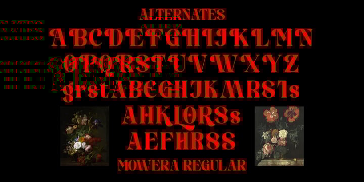 Mowera Font | Webfont & Desktop | MyFonts