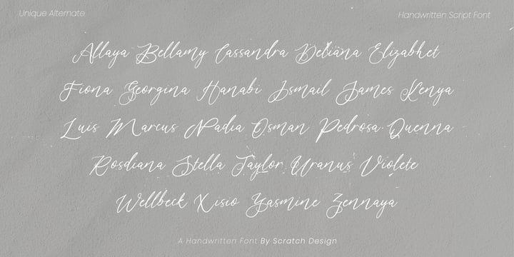 Gillcy Font | Webfont & Desktop | MyFonts