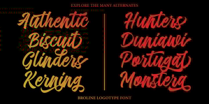 Broline Script Font | Webfont & Desktop | MyFonts