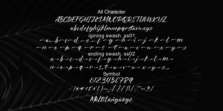 Honess Font | Webfont & Desktop | MyFonts