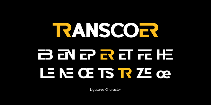 Meta Link Font | Webfont & Desktop | MyFonts