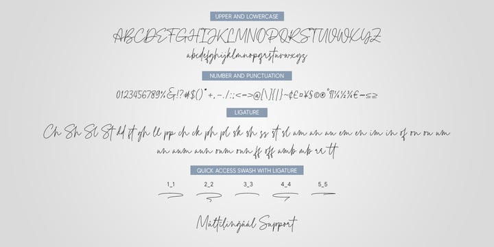 Pointone Font | Webfont & Desktop | MyFonts