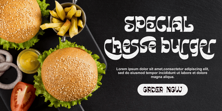 Burnley Font | Webfont & Desktop | MyFonts