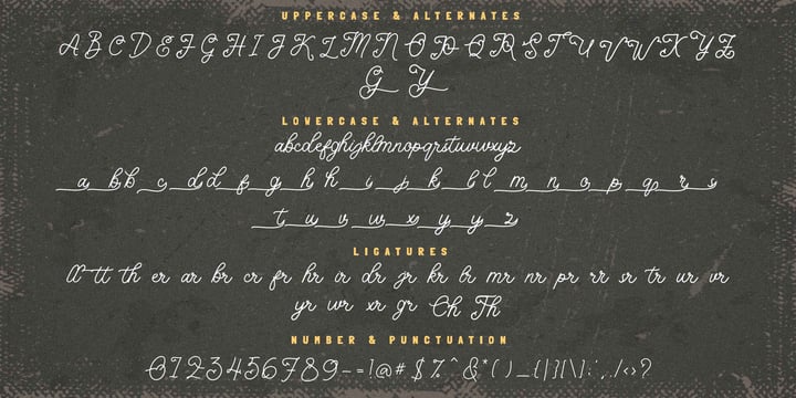 Chottlen Script Font | Webfont & Desktop | MyFonts