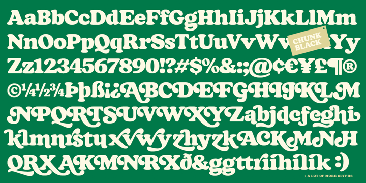Chunk Font | Webfont & Desktop | MyFonts