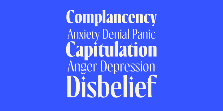 Kiester Font | Webfont & Desktop | MyFonts