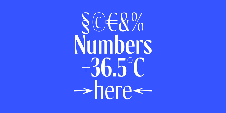 Kiester Font | Webfont & Desktop | MyFonts