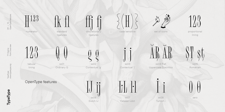 TT Espina Font | Webfont & Desktop | MyFonts