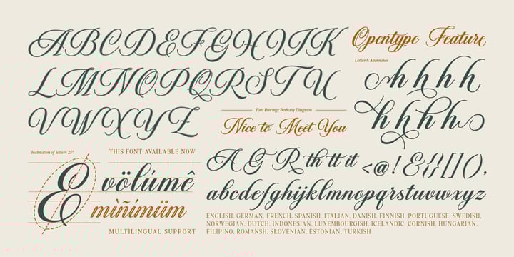 Peristiwa Script Font | Webfont & Desktop | MyFonts