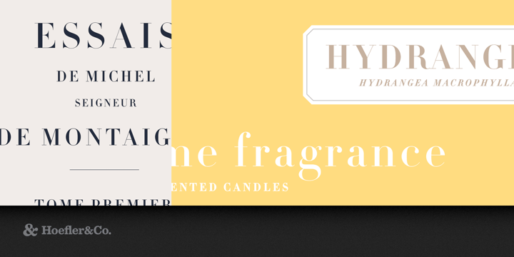 HTF Didot Font | Webfont & Desktop | MyFonts