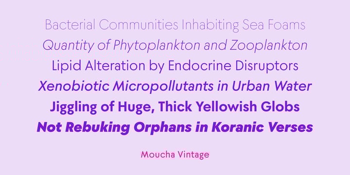Moucha Font | Webfont & Desktop | MyFonts