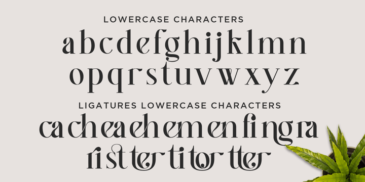 Better Authentic Font | Webfont & Desktop | MyFonts
