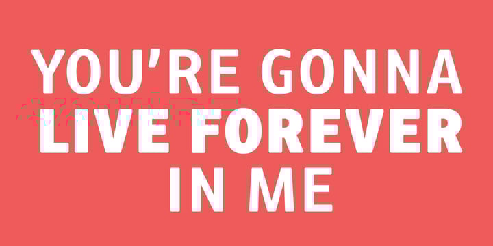 Migo Font | Webfont & Desktop | MyFonts