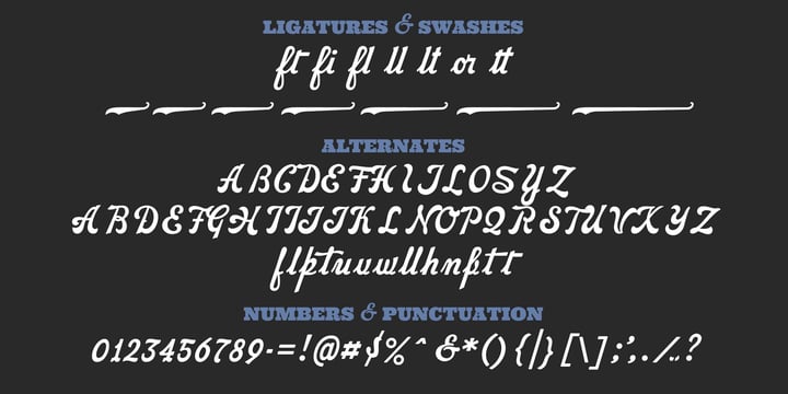 Barney Script Font | Webfont & Desktop | MyFonts