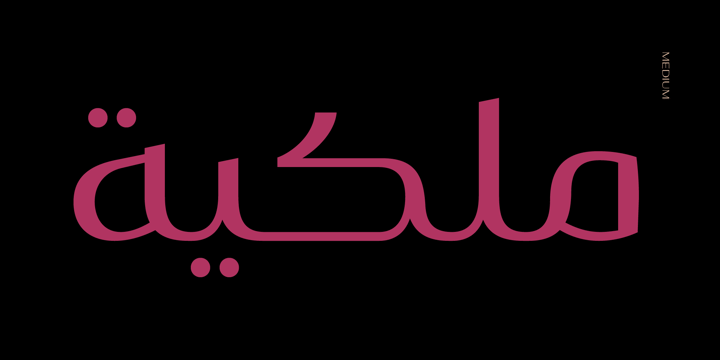 Layla pro Arabic Font | Webfont & Desktop | MyFonts