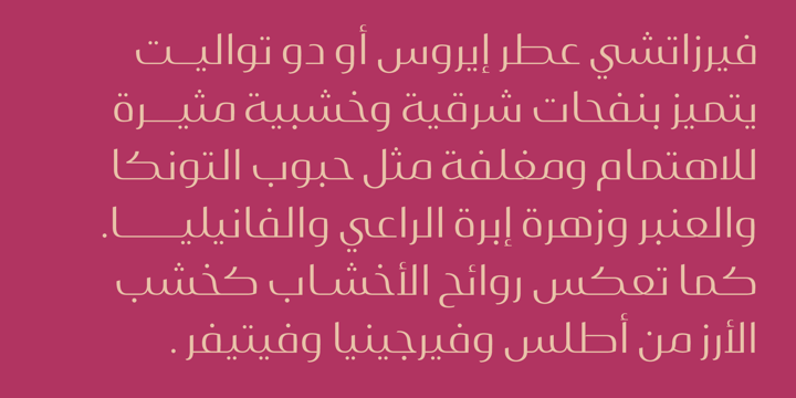 Layla pro Arabic Font | Webfont & Desktop | MyFonts