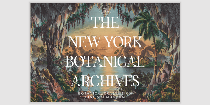 Idealist models Font | Webfont & Desktop | MyFonts