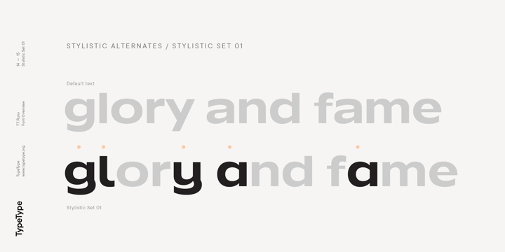 TT Runs Font | Webfont & Desktop | MyFonts