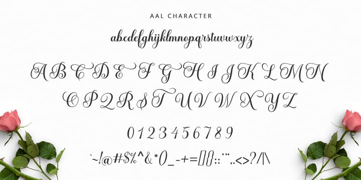 Maryland Script Font | Webfont & Desktop | MyFonts