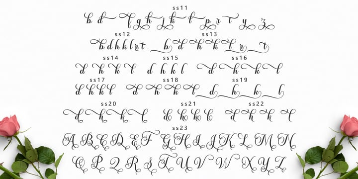 Maryland Script Font | Webfont & Desktop | MyFonts