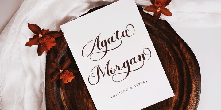 Mongilon Script Font | Webfont & Desktop | MyFonts