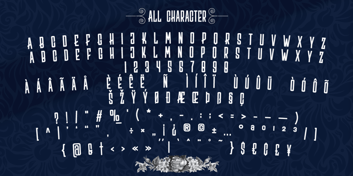 Thomson Font | Webfont & Desktop | MyFonts