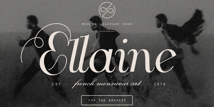 Noir Jolie Font | Webfont & Desktop | MyFonts