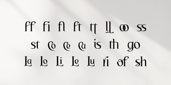 Chaleum Font | Webfont & Desktop | MyFonts