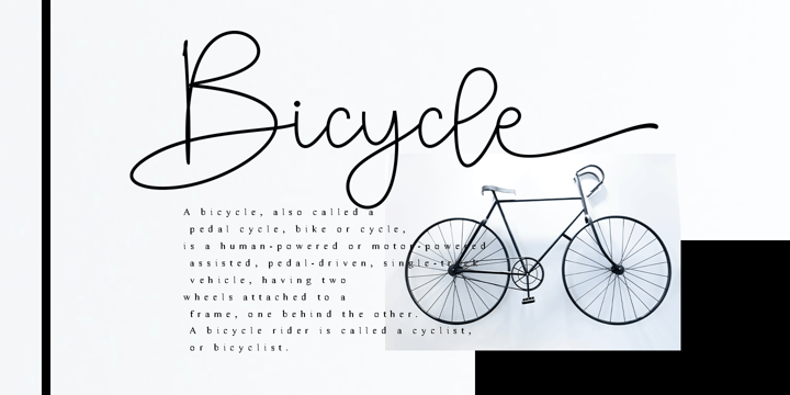 Best Life Font | Webfont & Desktop | MyFonts