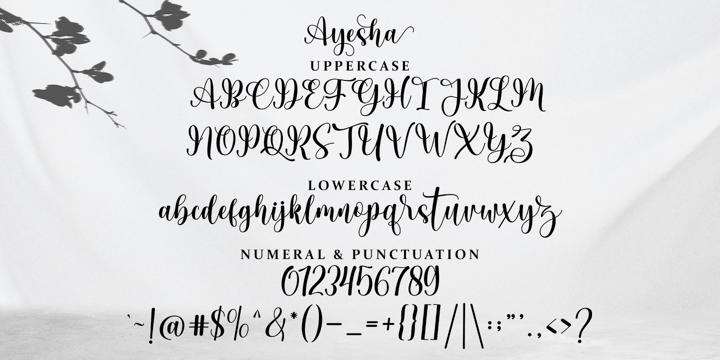 Ayesha Font | Webfont & Desktop | MyFonts