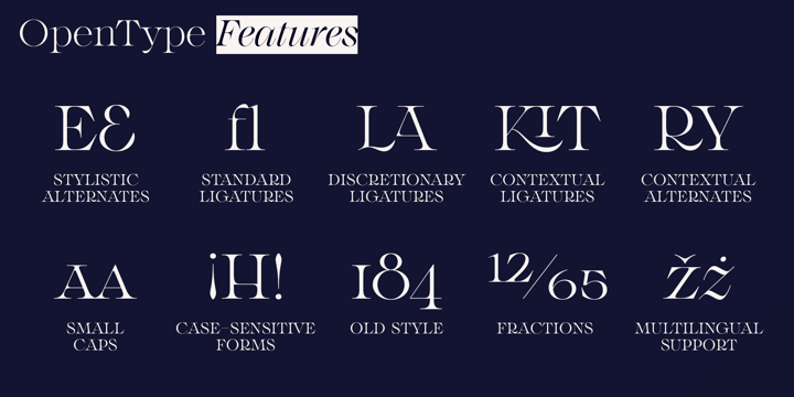 Monarque Font | Webfont & Desktop | MyFonts