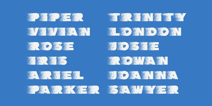 Speed Test Font | Webfont & Desktop | MyFonts