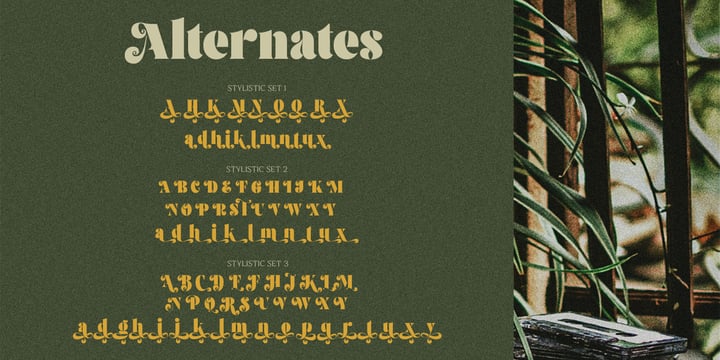 Brolike Font | Webfont & Desktop | MyFonts