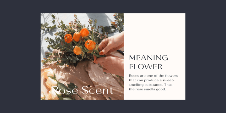 Gullia Font | Webfont & Desktop | MyFonts