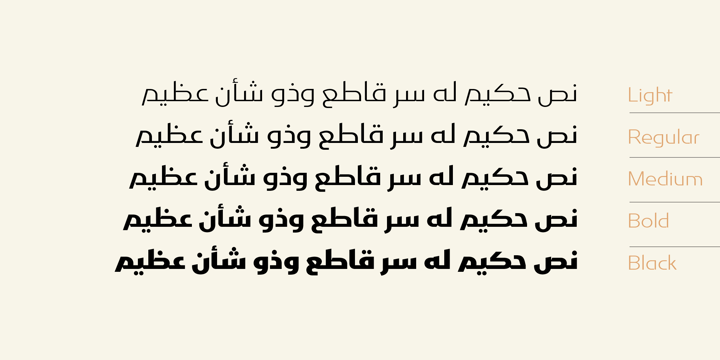 Ahmed Zaza Font | MyFonts