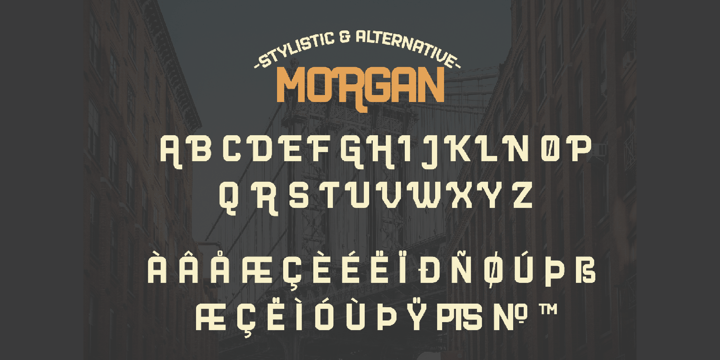 Morgan Font | Webfont & Desktop | MyFonts