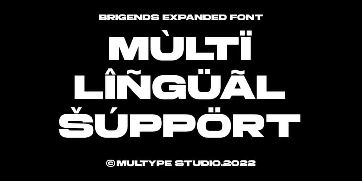 Brigends Expanded Font | Webfont & Desktop | MyFonts