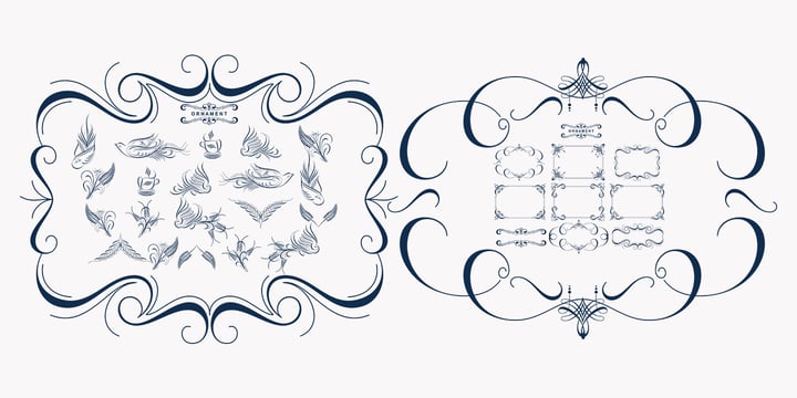 Classical Calligraphy Font | Webfont & Desktop | MyFonts