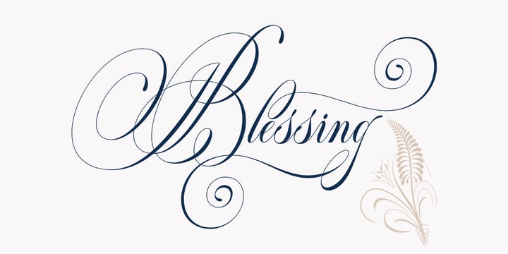 Classical Calligraphy Font | Webfont & Desktop | MyFonts